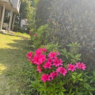 末広通世