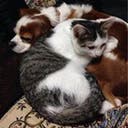 合同会社JoyToRent