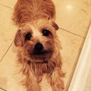 株式会社MYパートナーズ