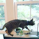 合同会社クワトロチェーロ