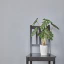 合同会社インテリア青山