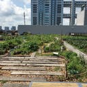 Food's Style株式会社 都会の農園