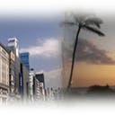 銀座ハワイ不動産