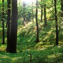 新誠プロパティマネジメント株式会社