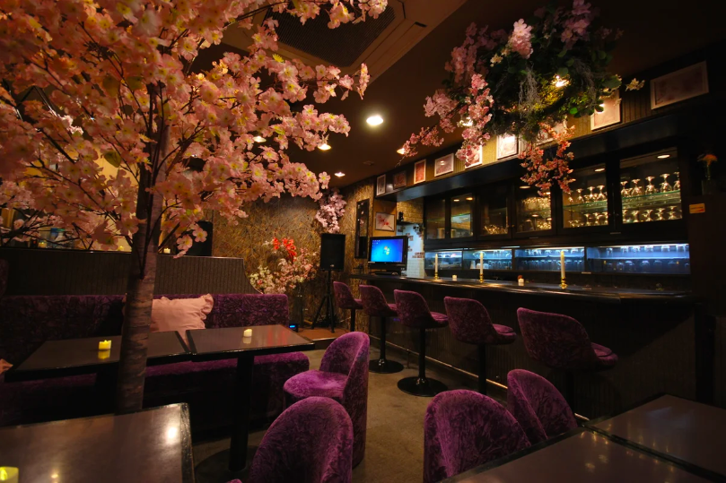 本格スナックスペースに満開の桜!